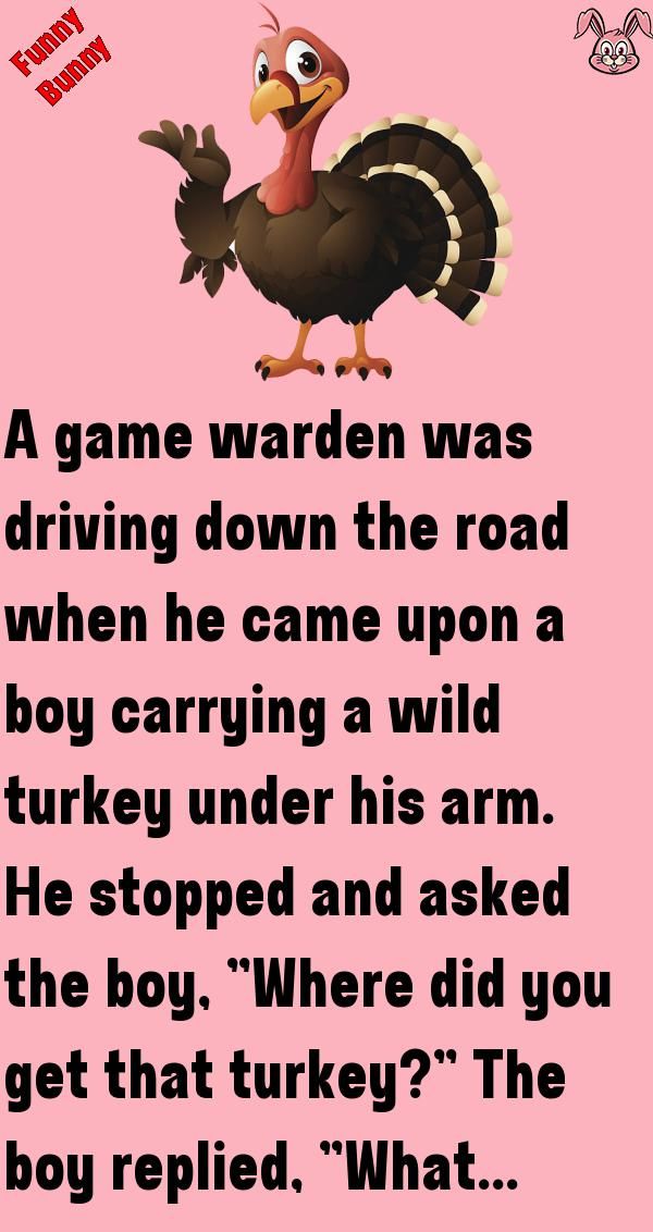 Quick Wit - Funny Good Stories