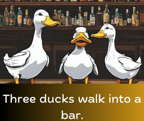 Three ducks walk into a bar - Funny Good Stories