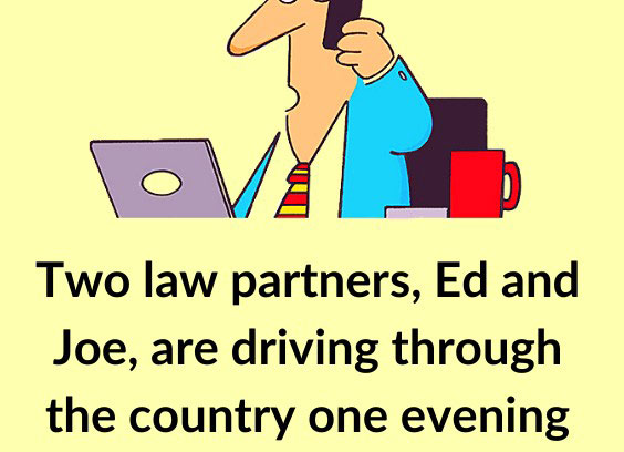 Two law partners - Funny Good Stories